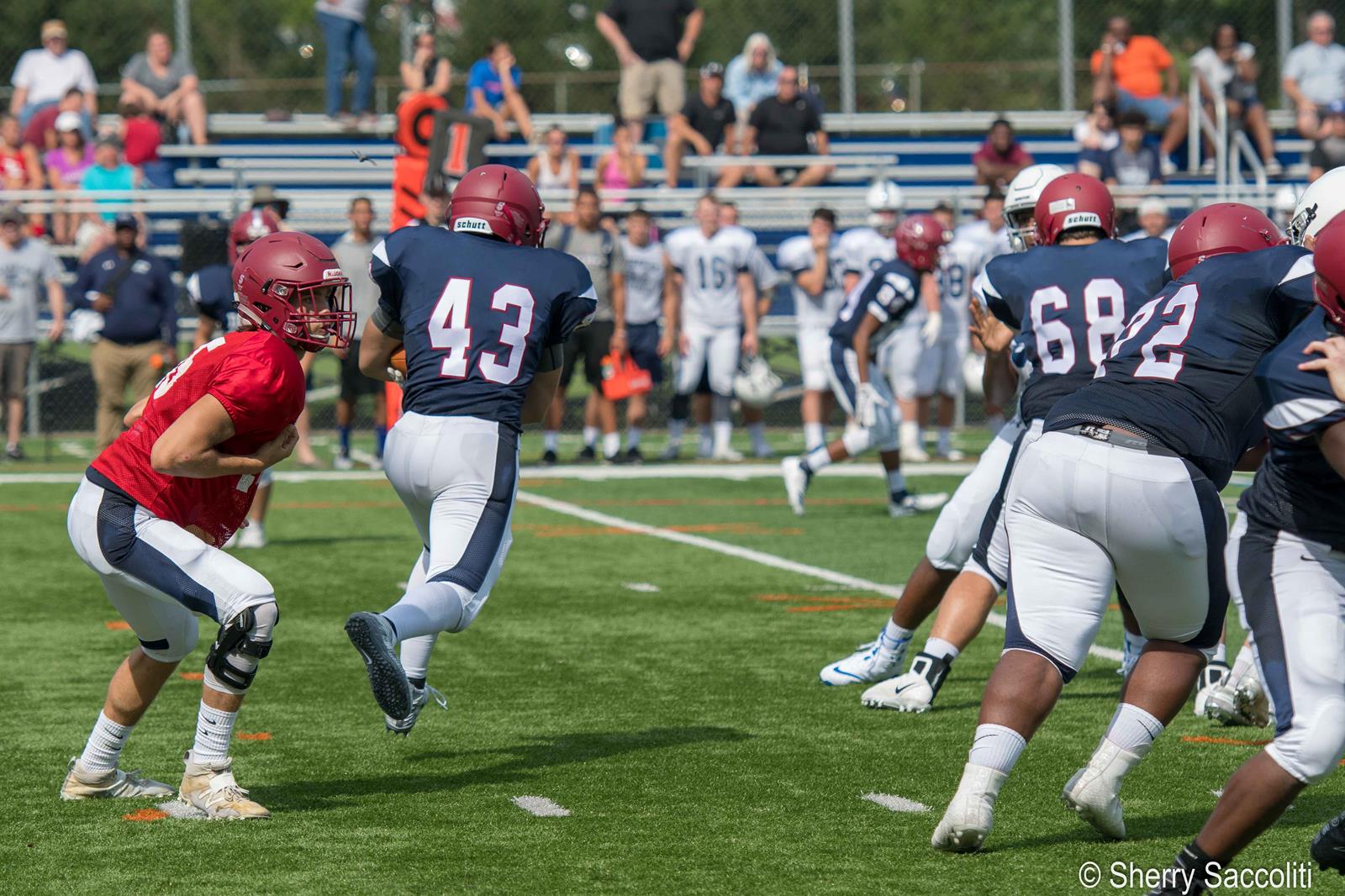 Christopher Auricchio - Football - Fairleigh Dickinson University ...