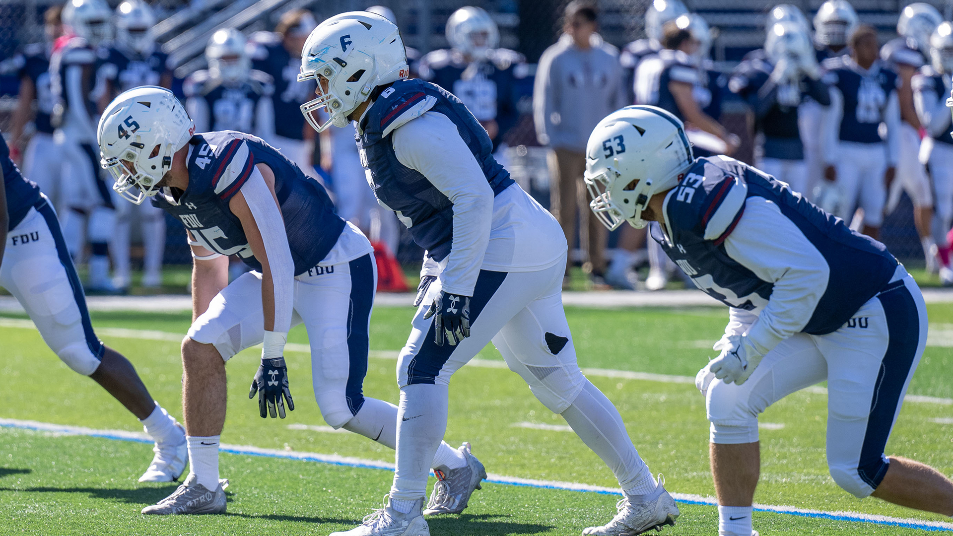 Stevenson Defeats Football, 20-7 - Fairleigh Dickinson University ...