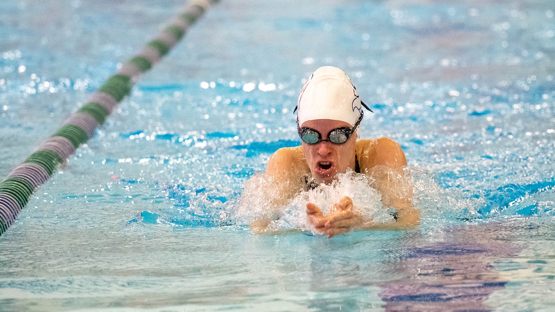 Sarah Dougherty - Women's Swimming - Fairleigh Dickinson University ...