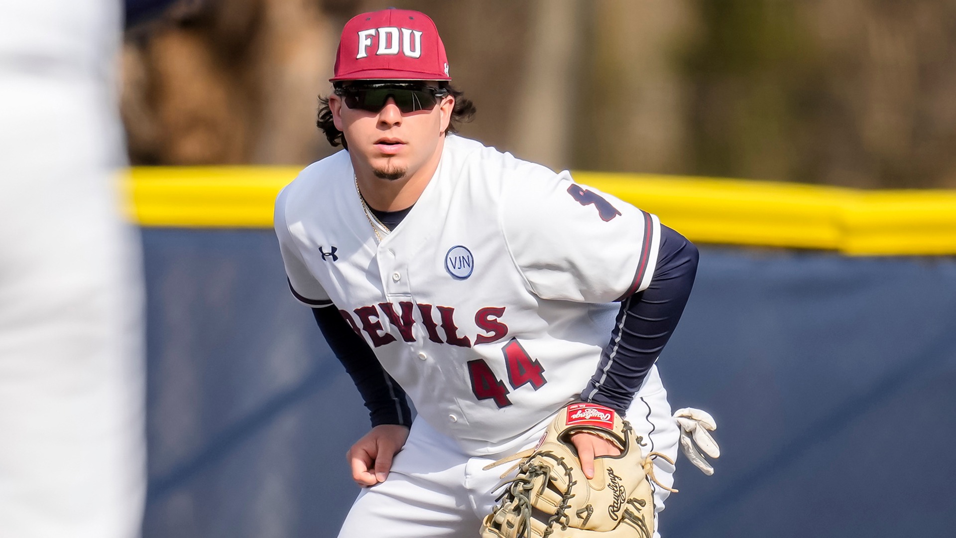 Vincent Ferrigno - Baseball - Fairleigh Dickinson University-Florham ...