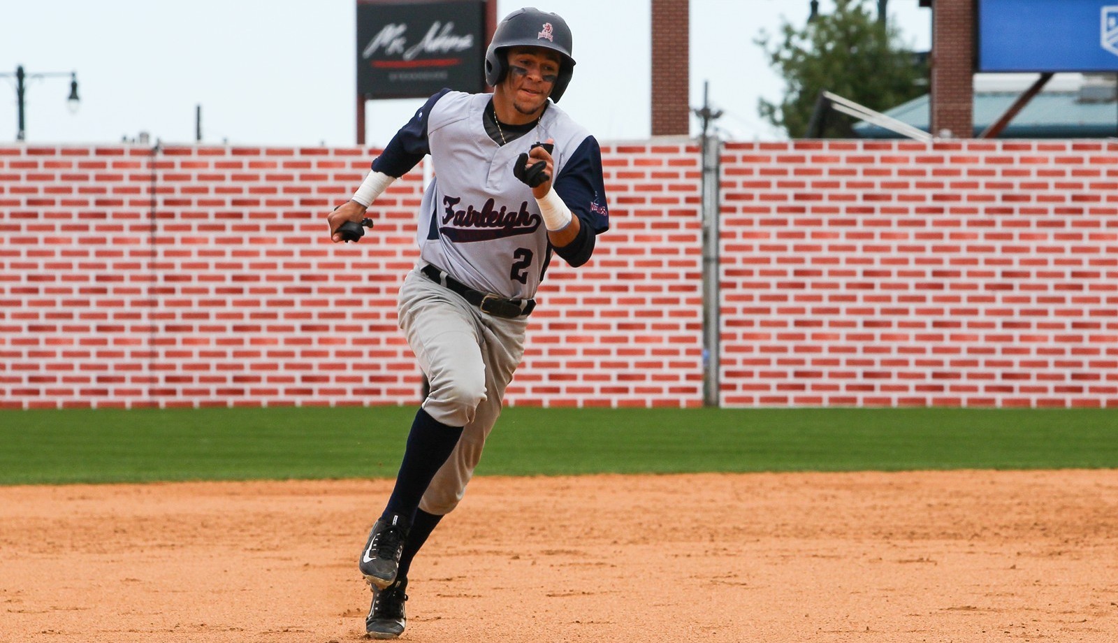 Jose DeLeon - 2016 - Baseball - FDU Knights Athletics