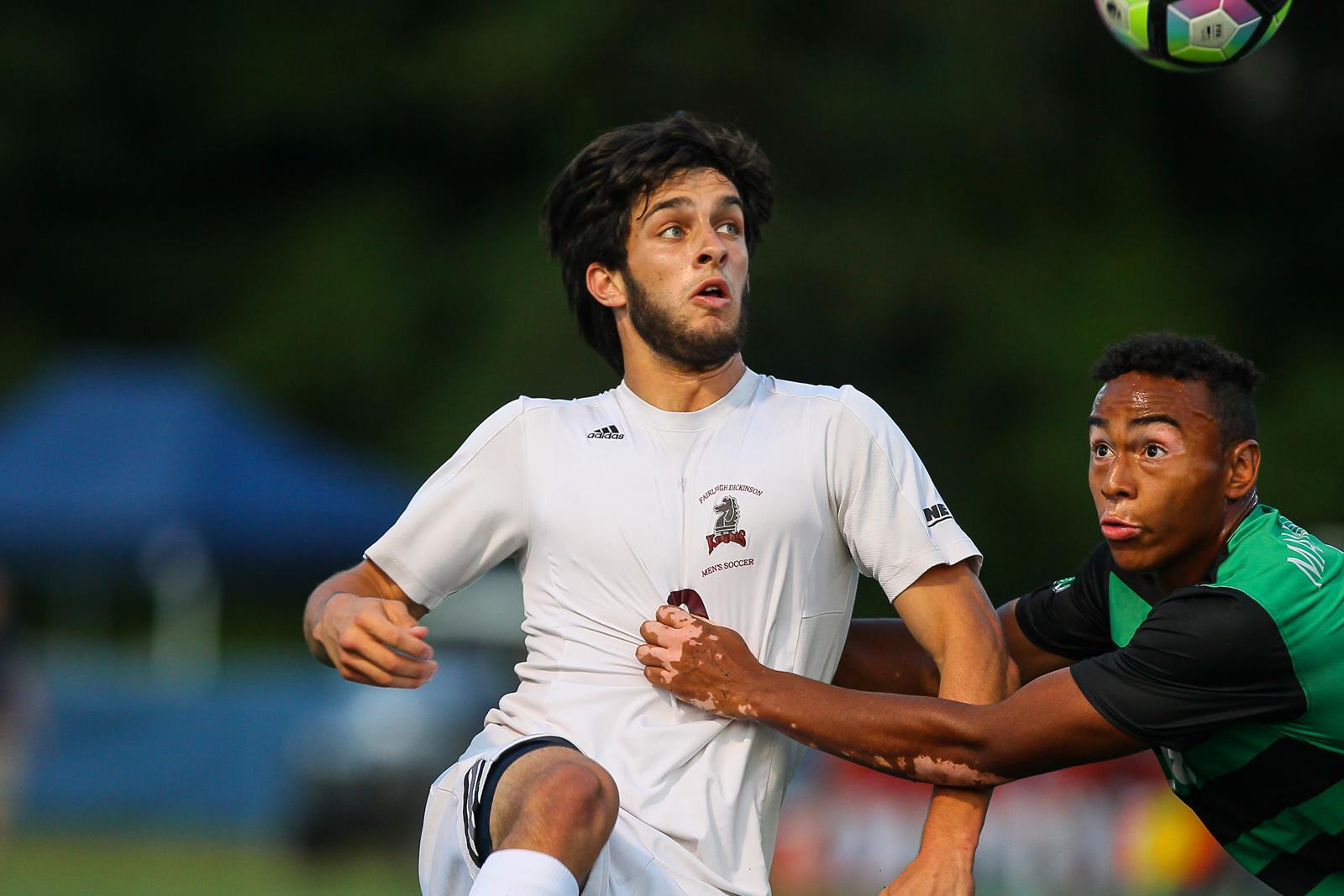 Jacob Labovitz - 2018 - Men's Soccer - FDU Knights Athletics