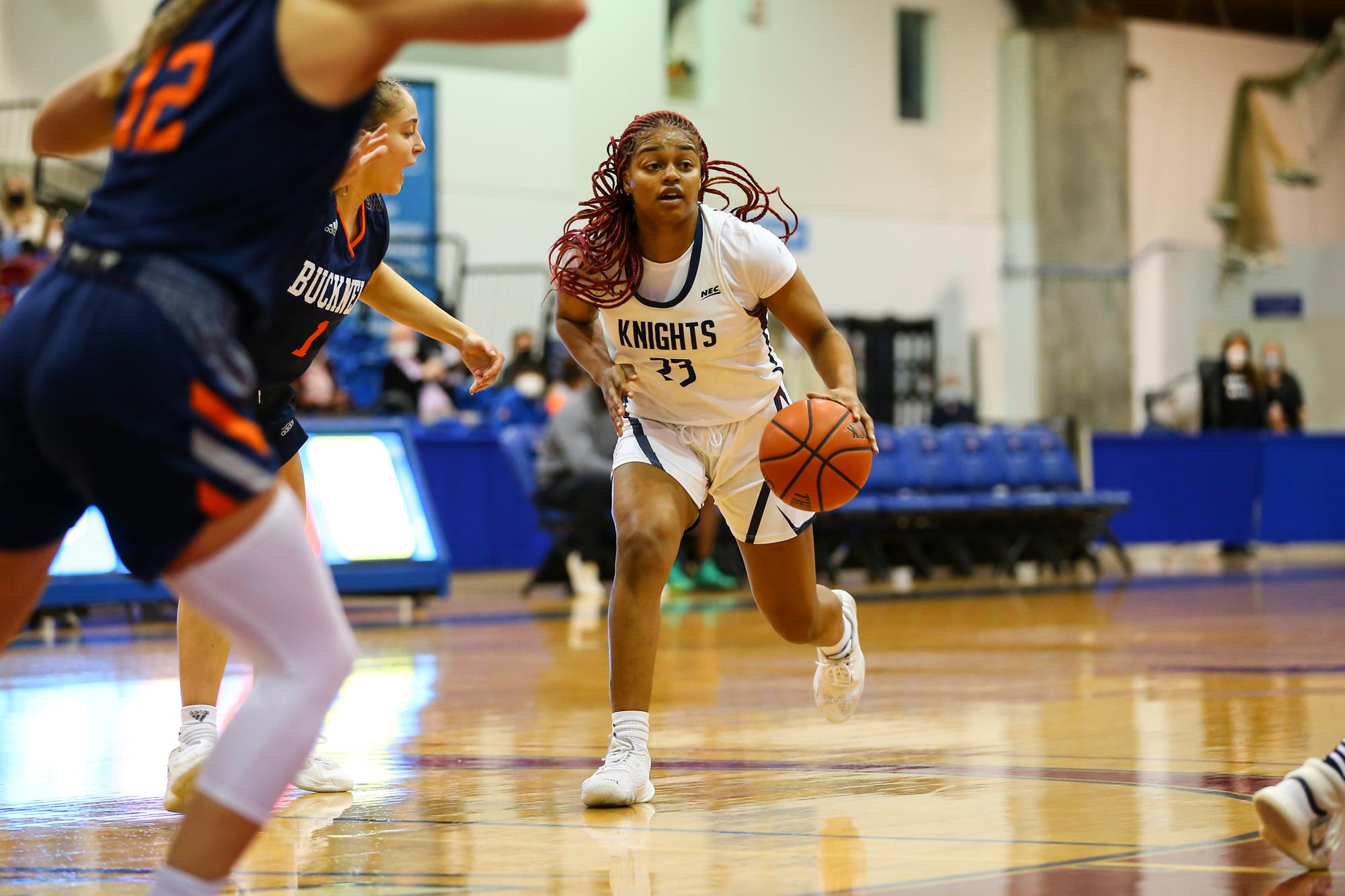 Chloe Wilson - 2022-23 - Women's Basketball - FDU Knights Athletics