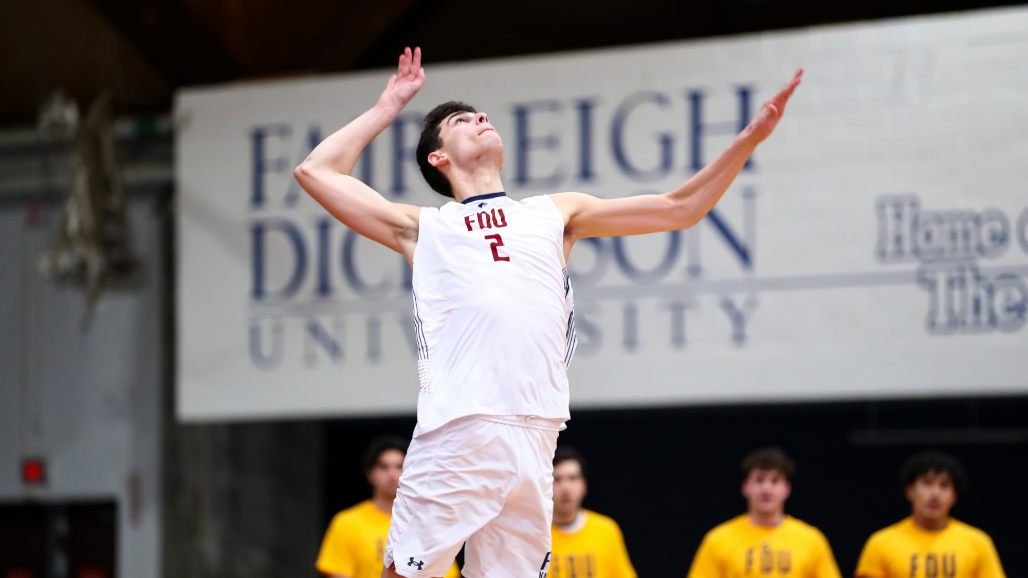 Lydon's Monster Night Propels Knights to First NEC Victory - FDU ...