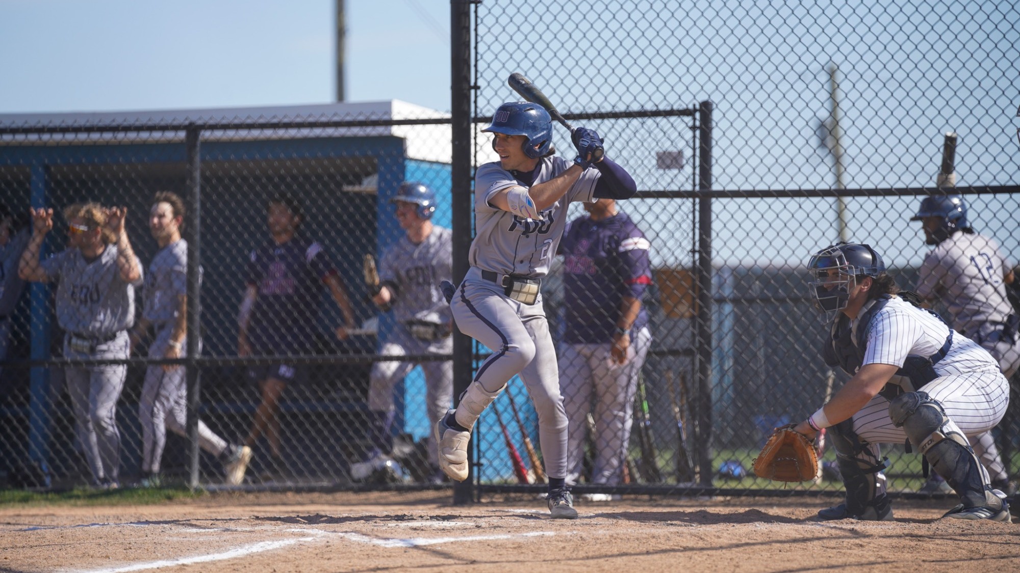 Hunter D'Amato - 2024 - Baseball - FDU Knights Athletics