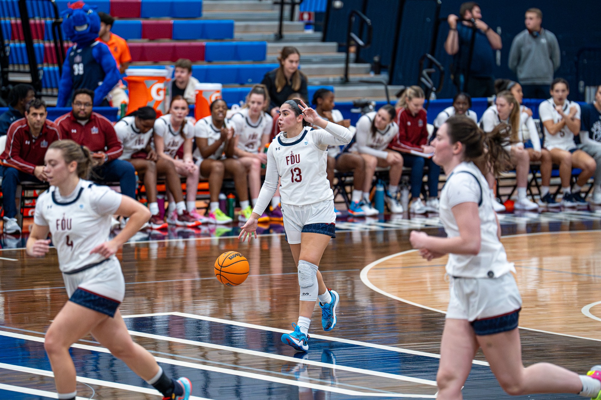 FDU Women's Basketball and Mercyhurst Face Off For First Time Ever ...
