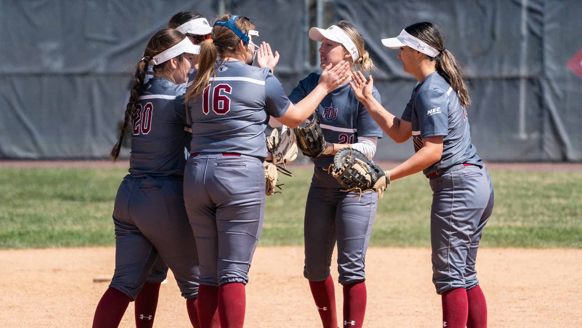 Knights Softball Announces 2025 Schedule - FDU Knights Athletics