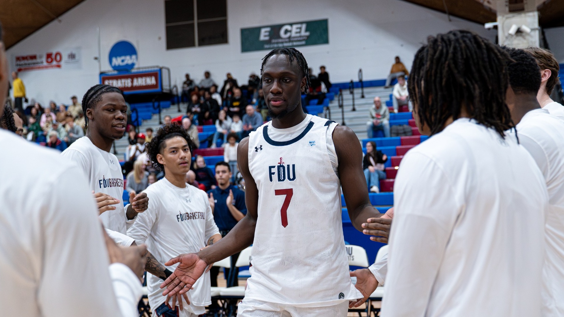 Knights Basketball Rolls Out 2025-26 Roster Additions - FDU Knights ...