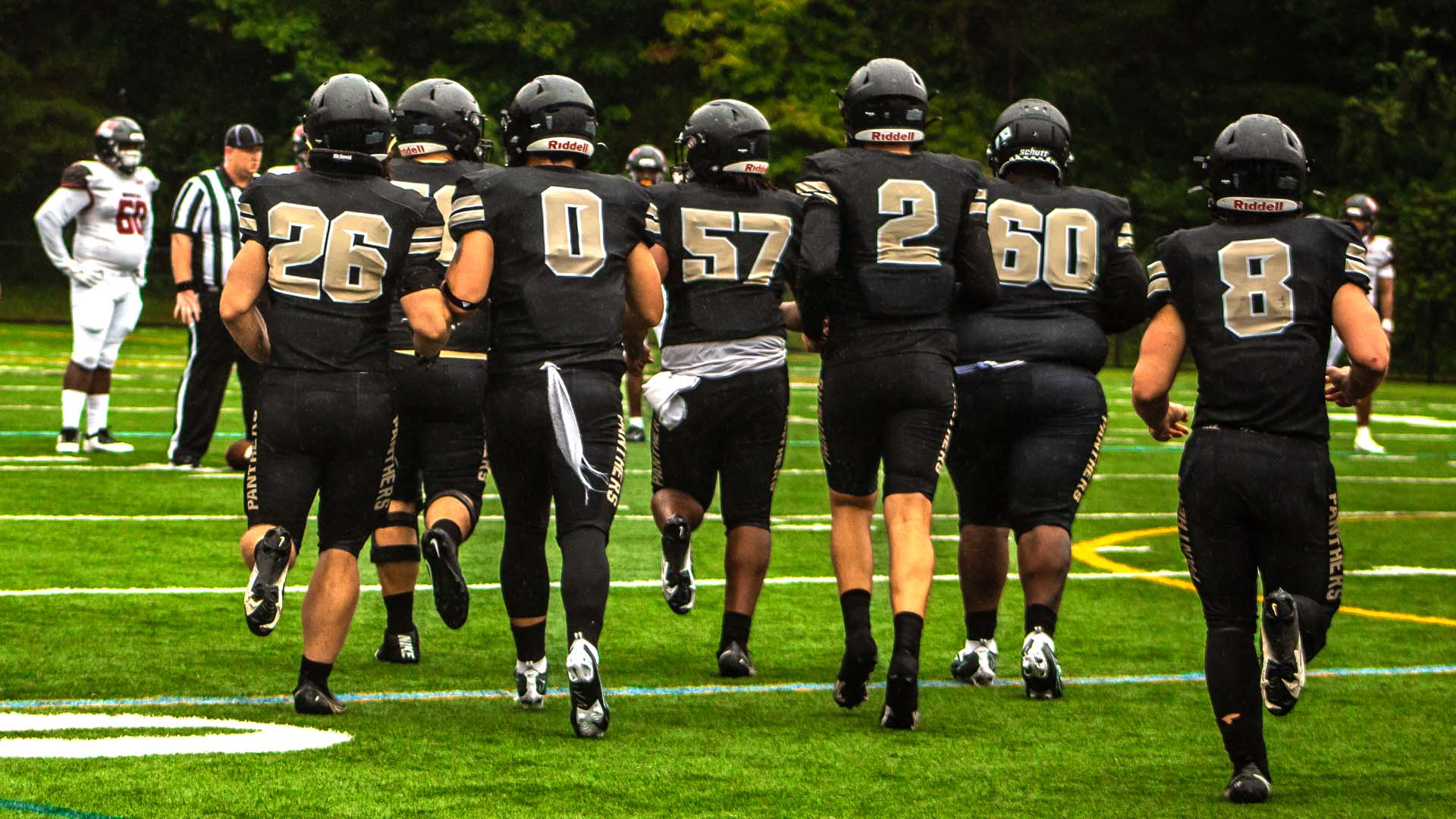 Hornets Hand Ferrum ODAC Football Loss - Ferrum College