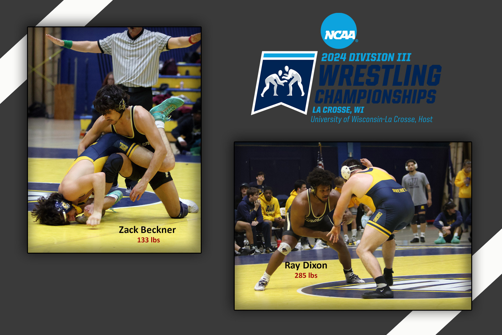 Dixon Places 5th at NCAA Tournament - Ferrum College