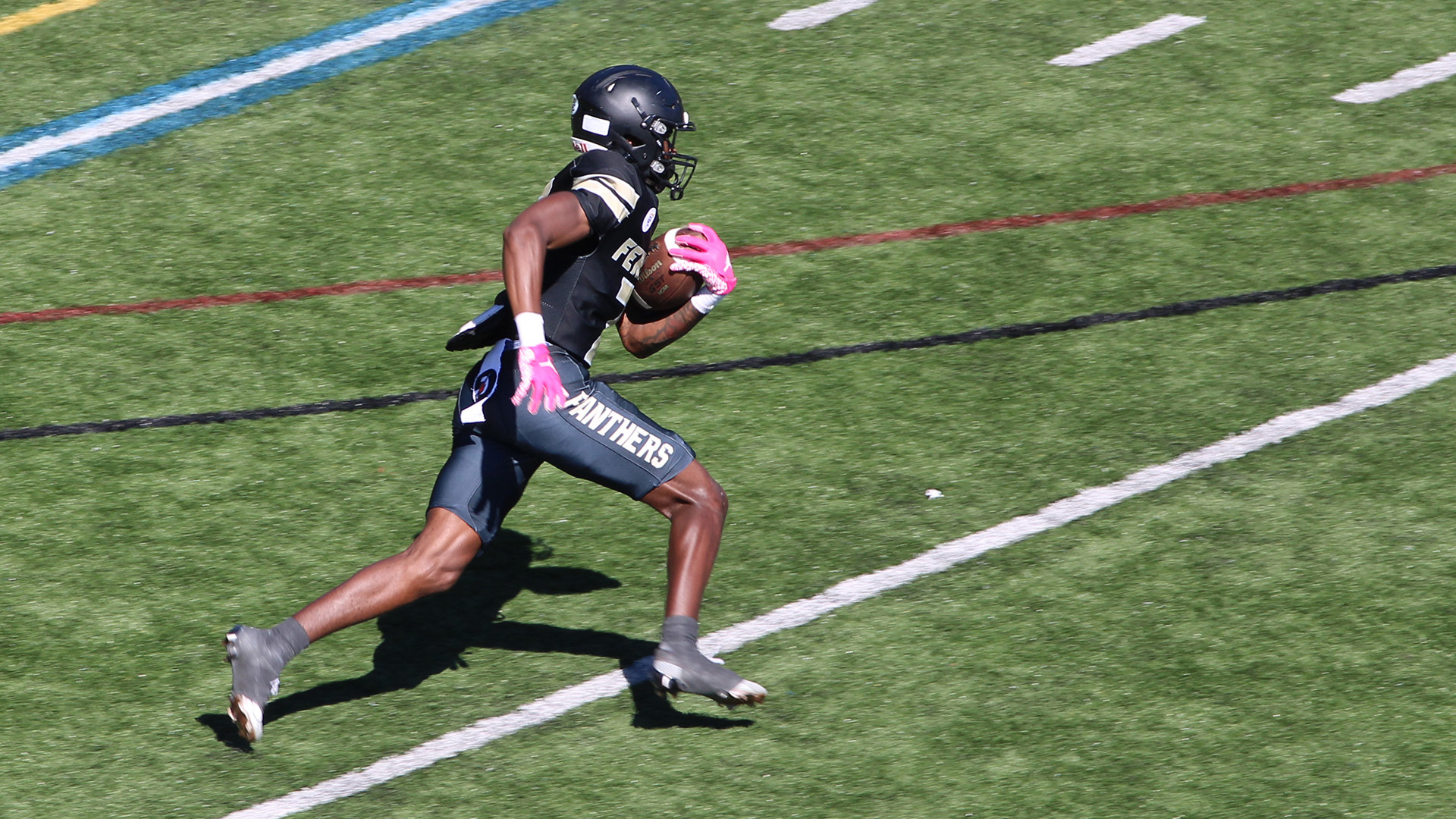 Ferrum's Schmidt, Gray Named Players of the Week - Ferrum College