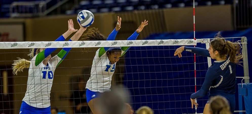 Jessica Barnes - 2014 - Volleyball - FGCU Athletics