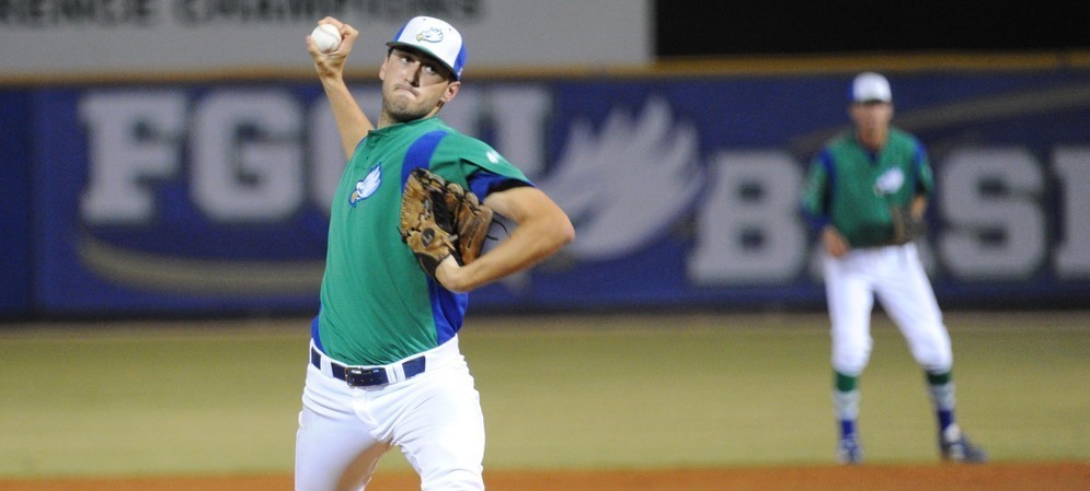 Danny Patrick - 2013 - Baseball - FGCU Athletics