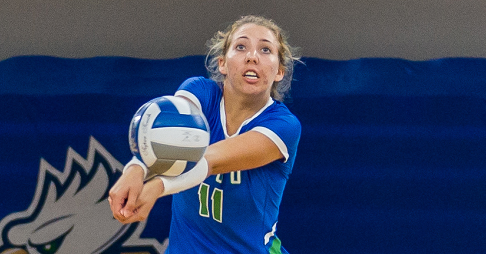 Alayna Ryan - 2020 - Volleyball - FGCU Athletics