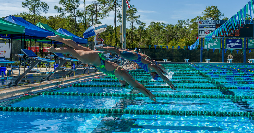 Rollins, Staff Complete 2018-19 Roster With 10 Newcomers - FGCU Athletics