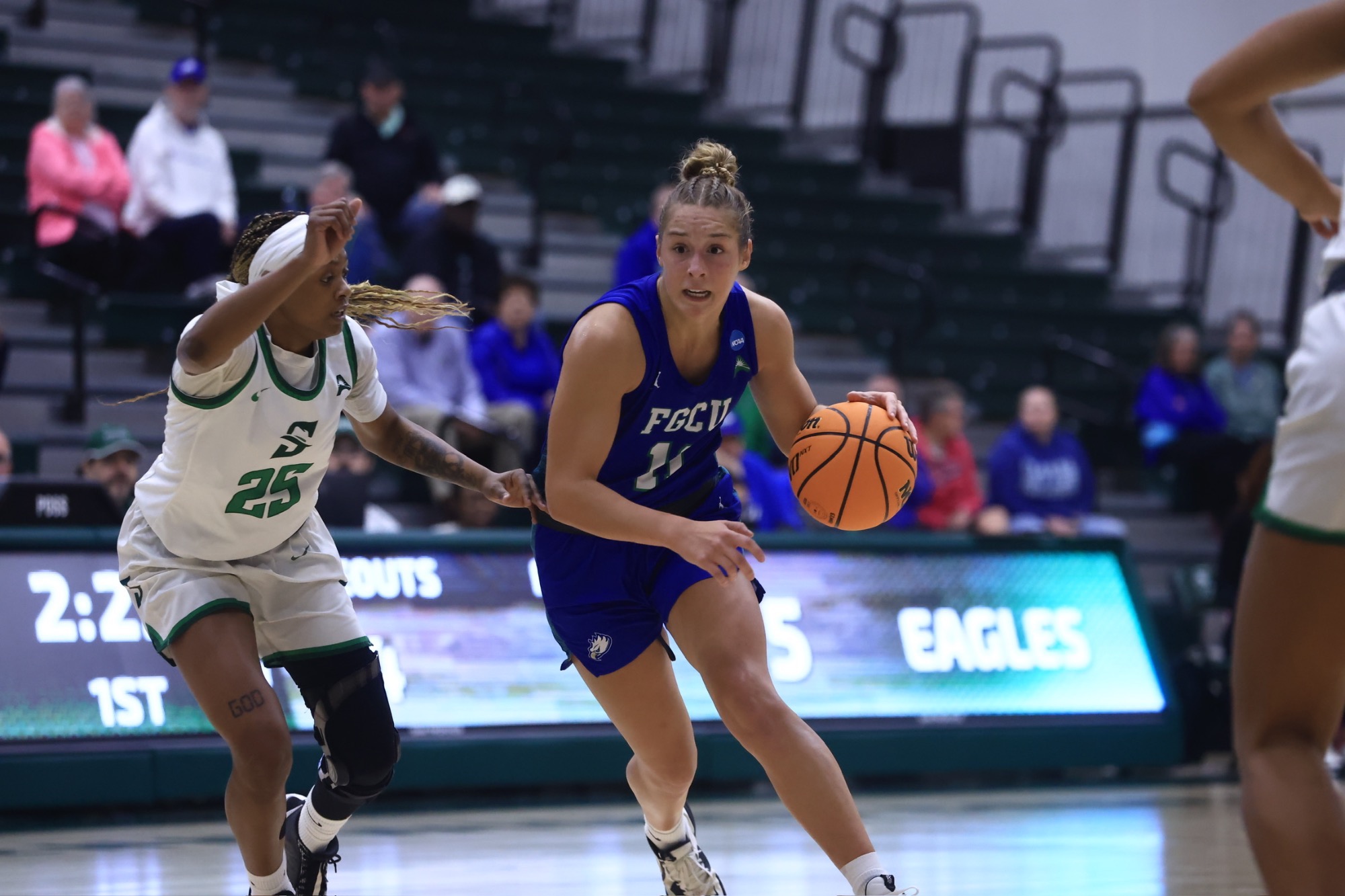 Antenucci's career-high 25 points lifts FGCU past Stetson - FGCU Athletics