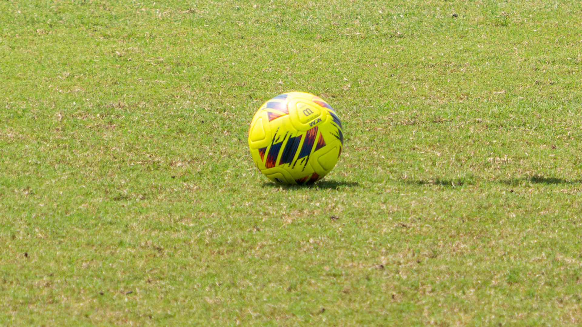 Oliver Twelvetrees named new men's soccer head coach - FGCU Athletics