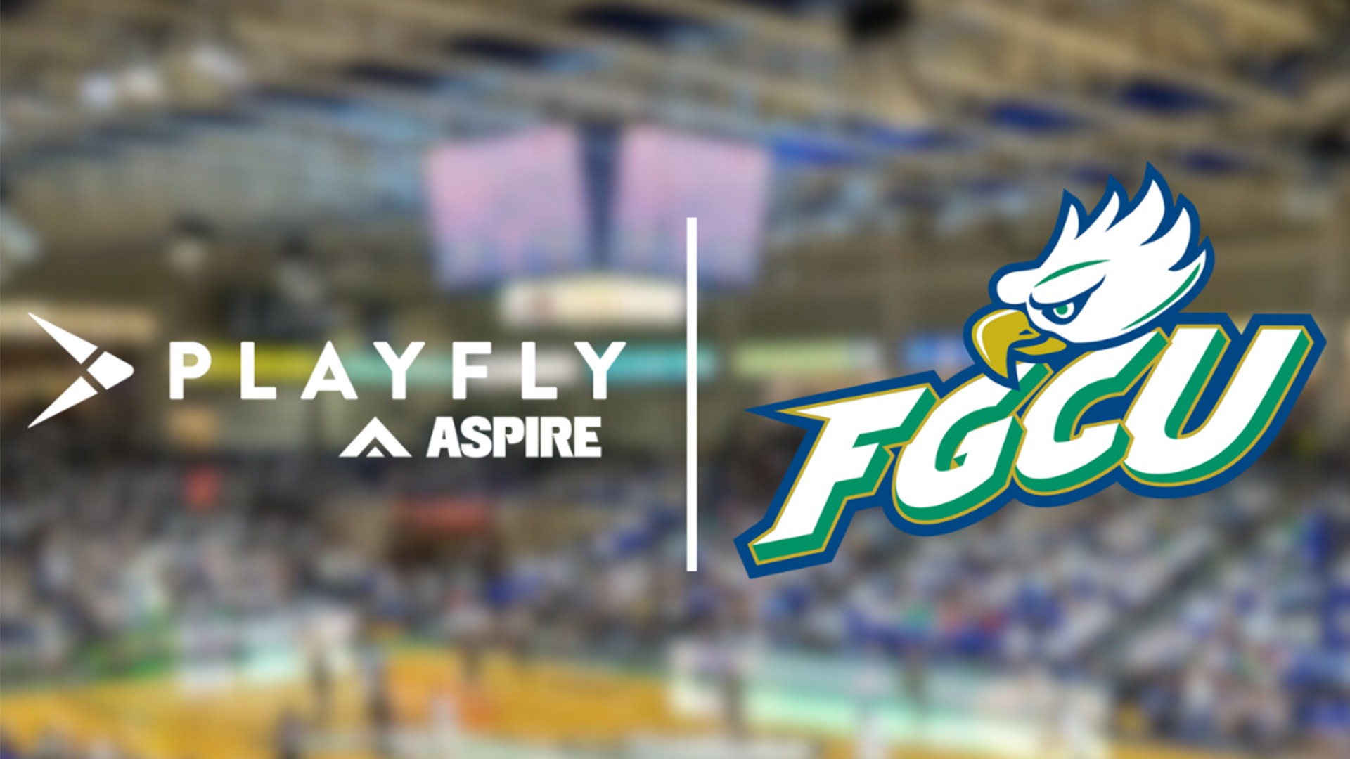 Sign Up Now - Summer Camp Opportunities For June and July - FGCU Athletics