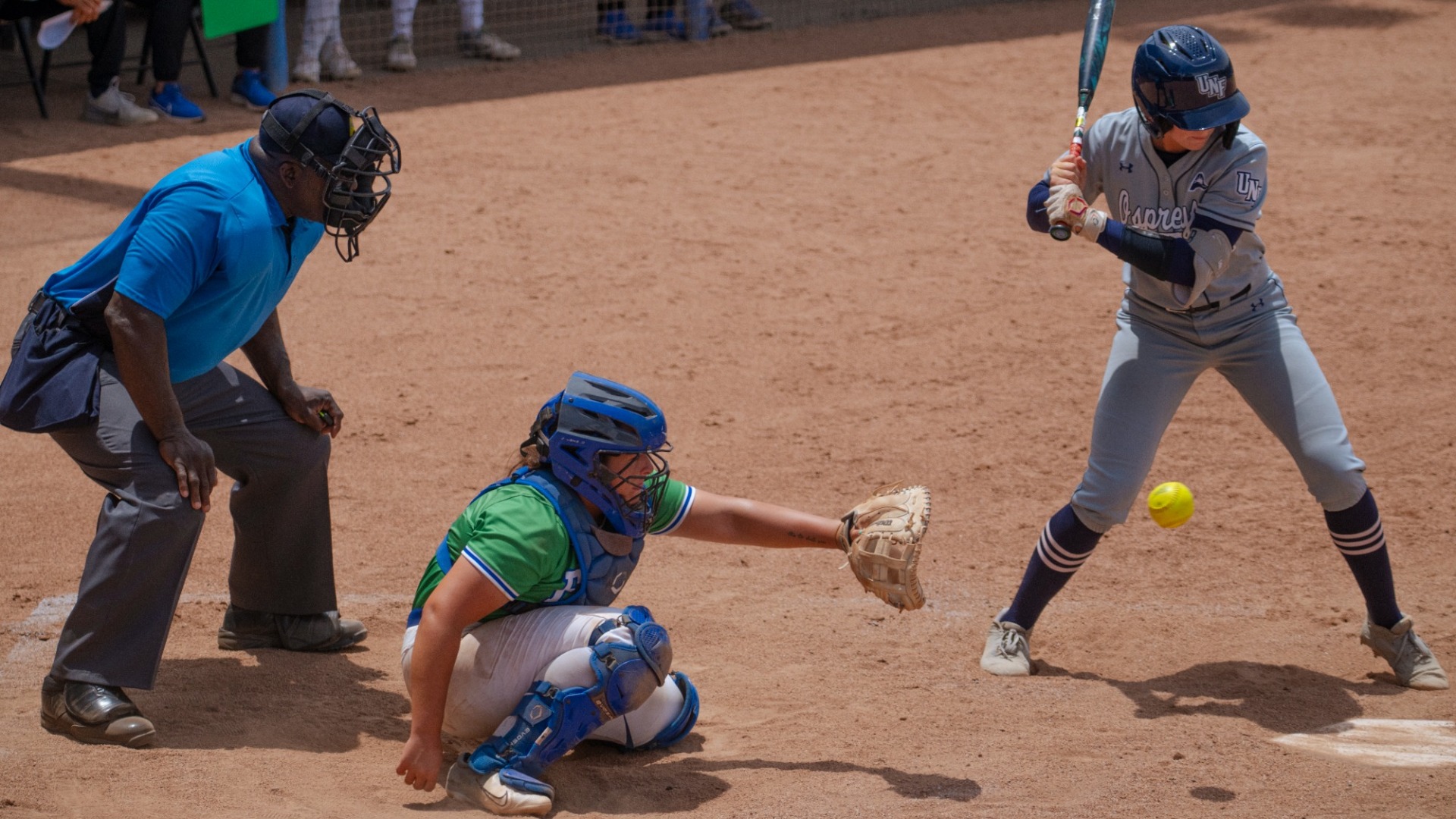 Softball releases 2025 schedule - FGCU Athletics