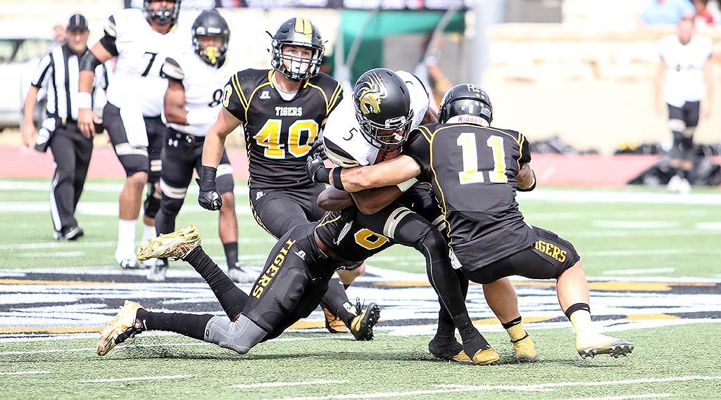 Alex Schmidtberger - Football - FHSU Athletics