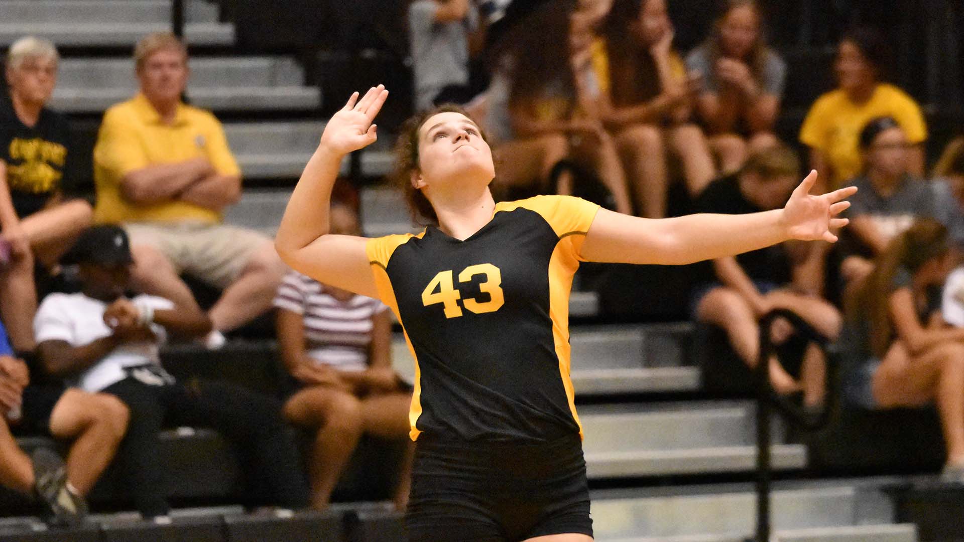 Abbie Hayes - Volleyball - FHSU Athletics