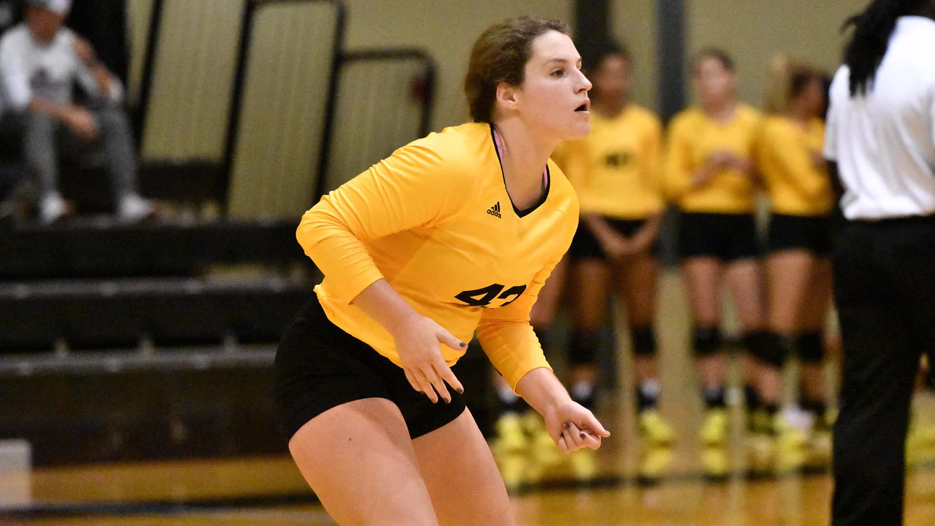 Abbie Hayes - Volleyball - FHSU Athletics