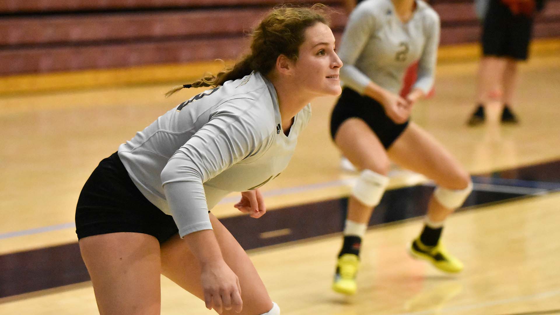 Abbie Hayes - Volleyball - FHSU Athletics