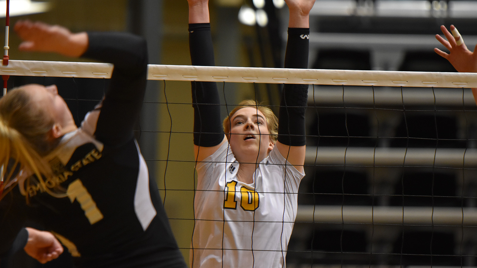 Delaney Humm - Volleyball - FHSU Athletics