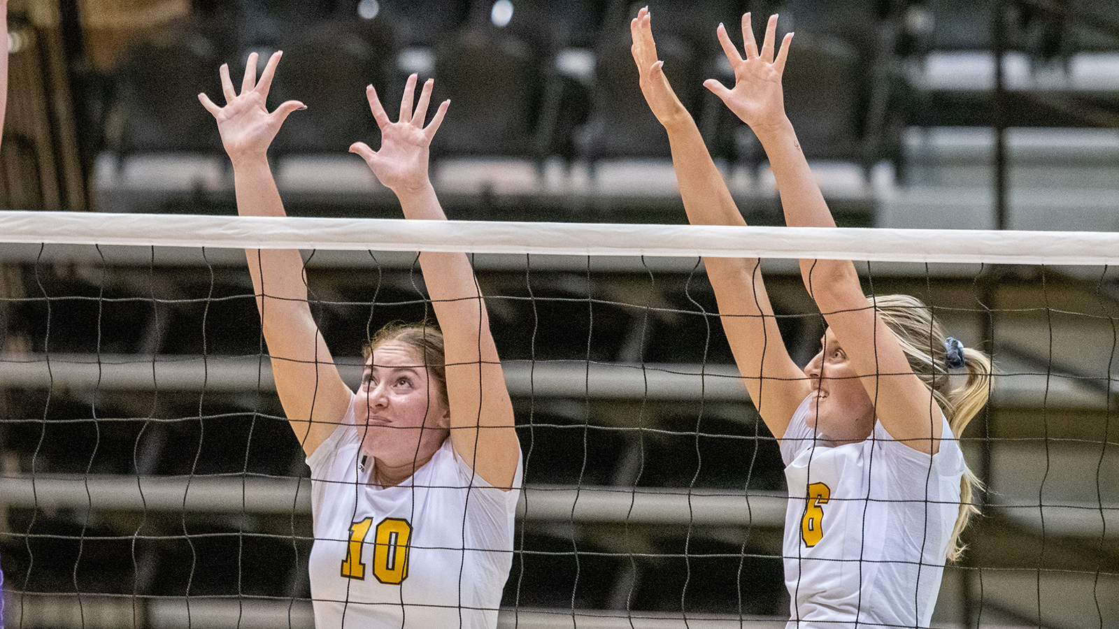 Emily Ellis - Volleyball - FHSU Athletics