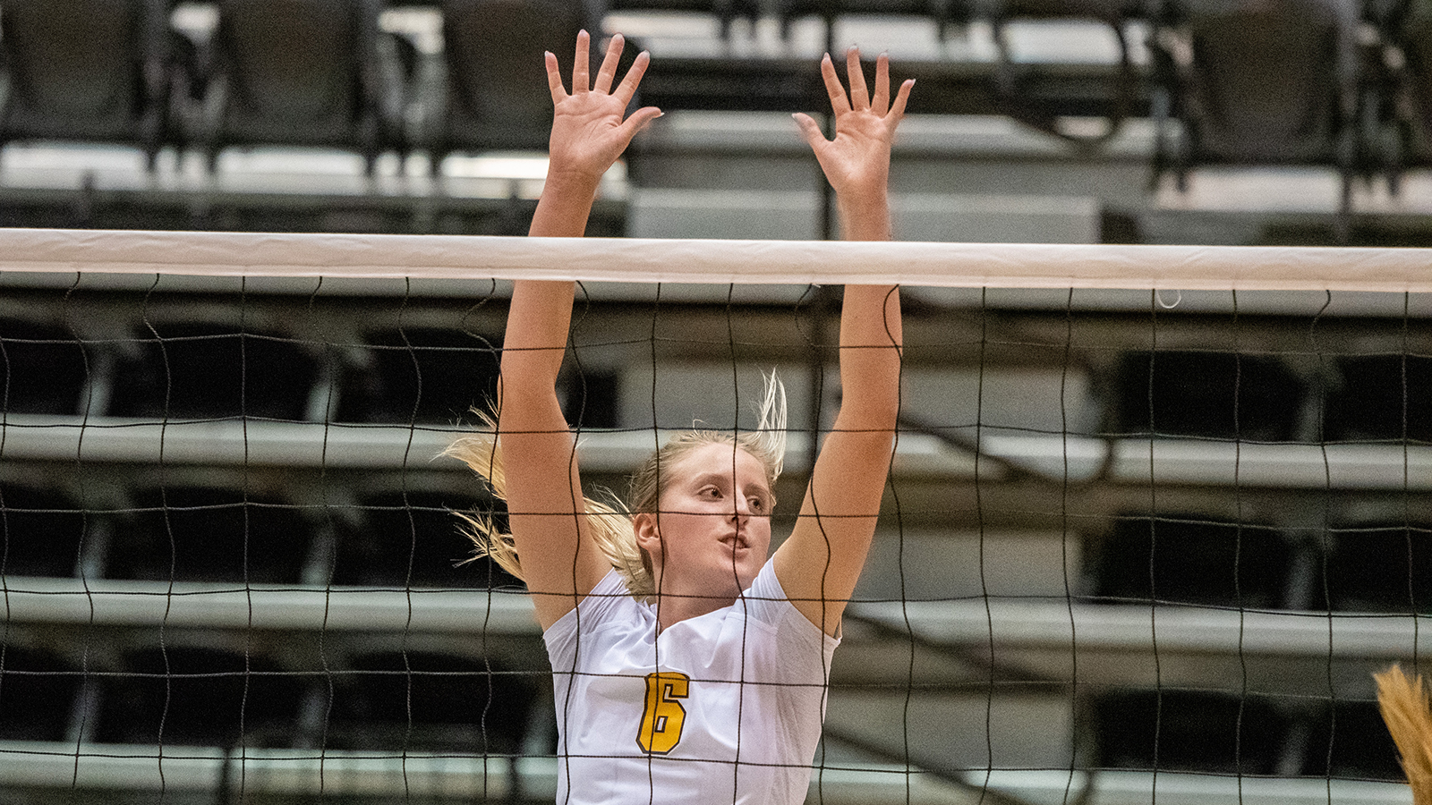 Emily Ellis - Volleyball - FHSU Athletics