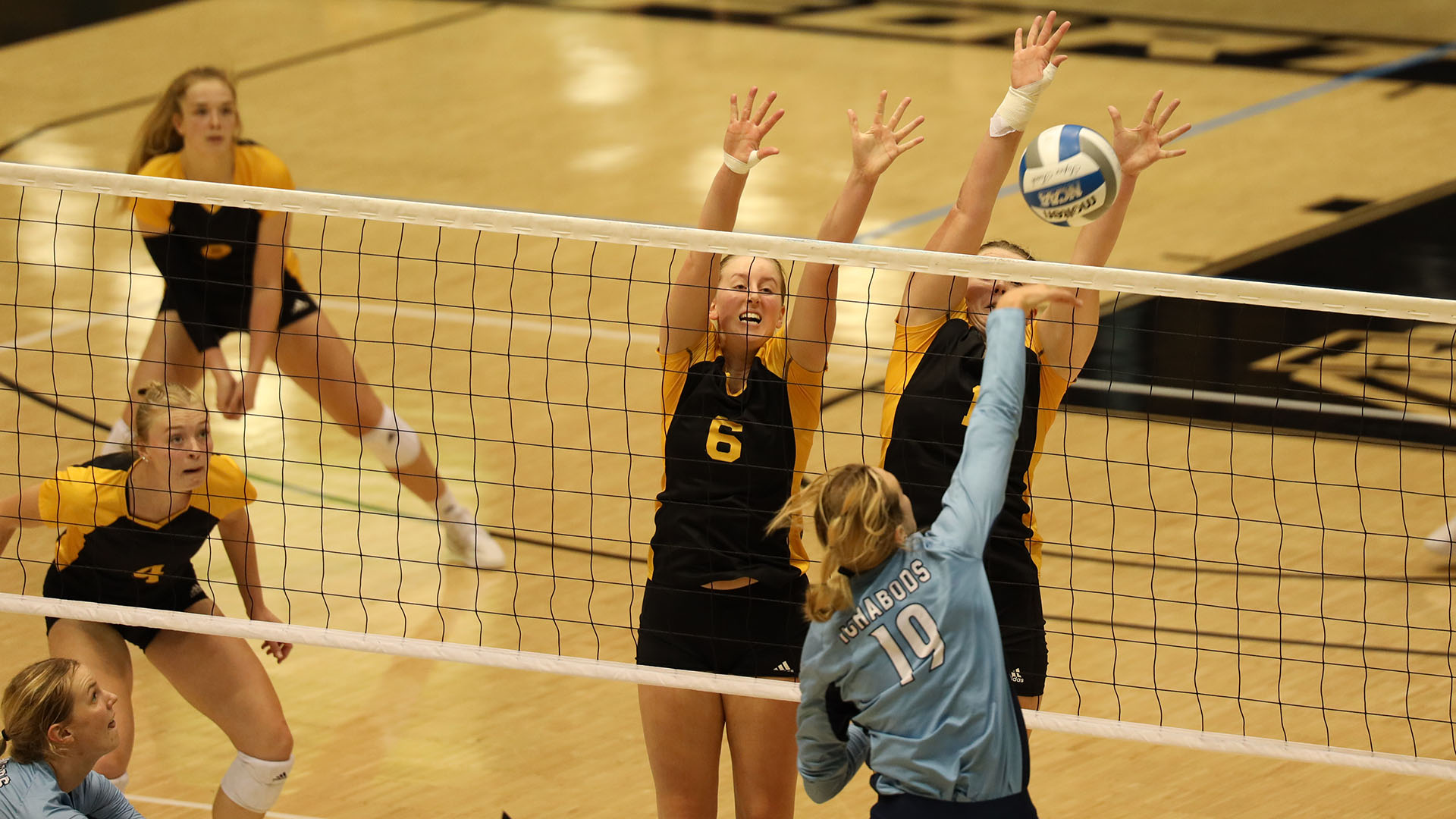 Emily Ellis - Volleyball - FHSU Athletics