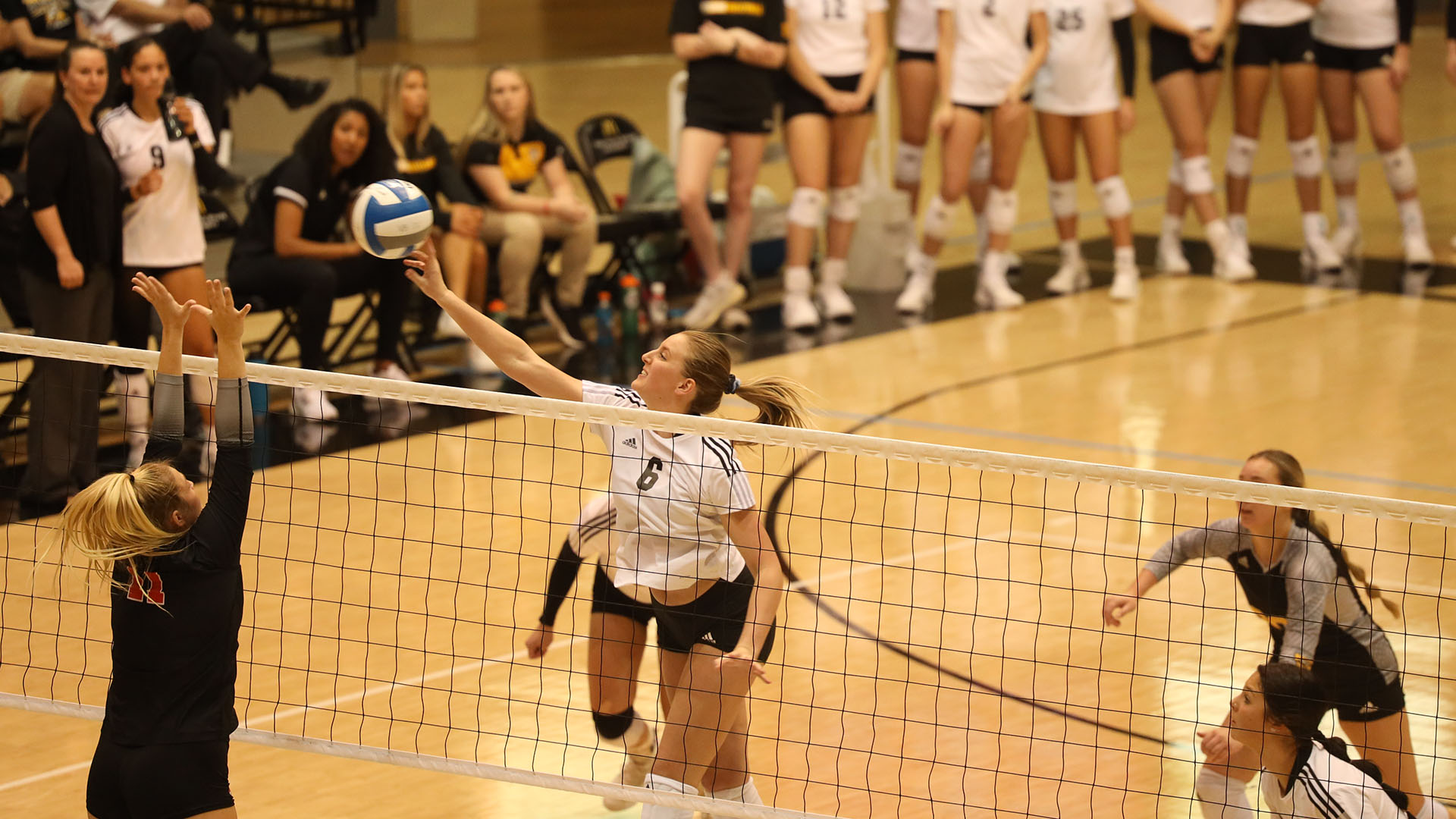 Emily Ellis - Volleyball - FHSU Athletics