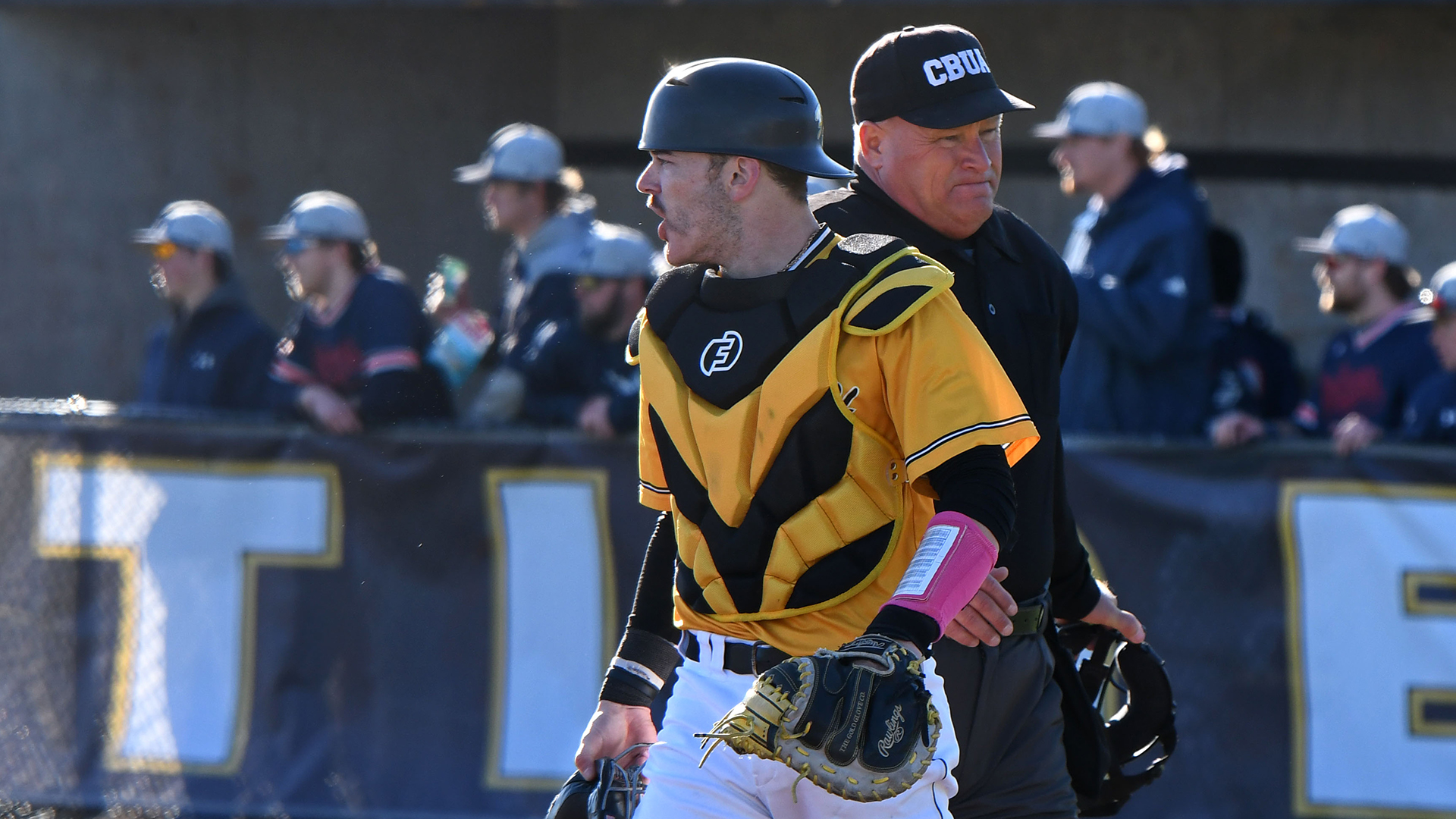 Mikey Felton - Baseball - FHSU Athletics