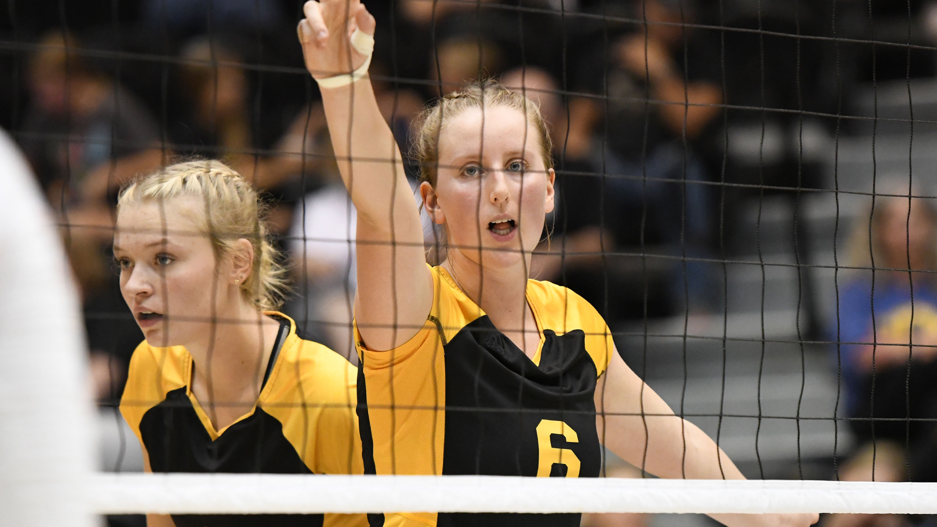 Emily Ellis - Volleyball - FHSU Athletics