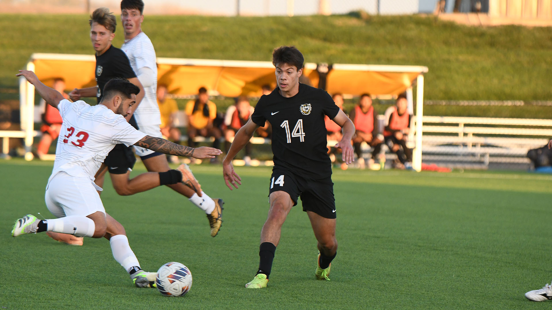 Tigers Come Up Short in Last Regular Season Match - FHSU Athletics