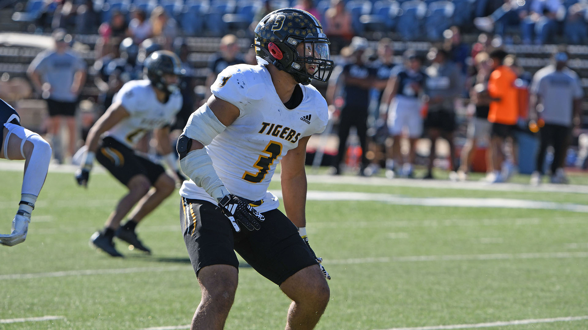 Tigers Sputter in Second Half, Fall to No. 11/8 Ranked Mules - FHSU ...