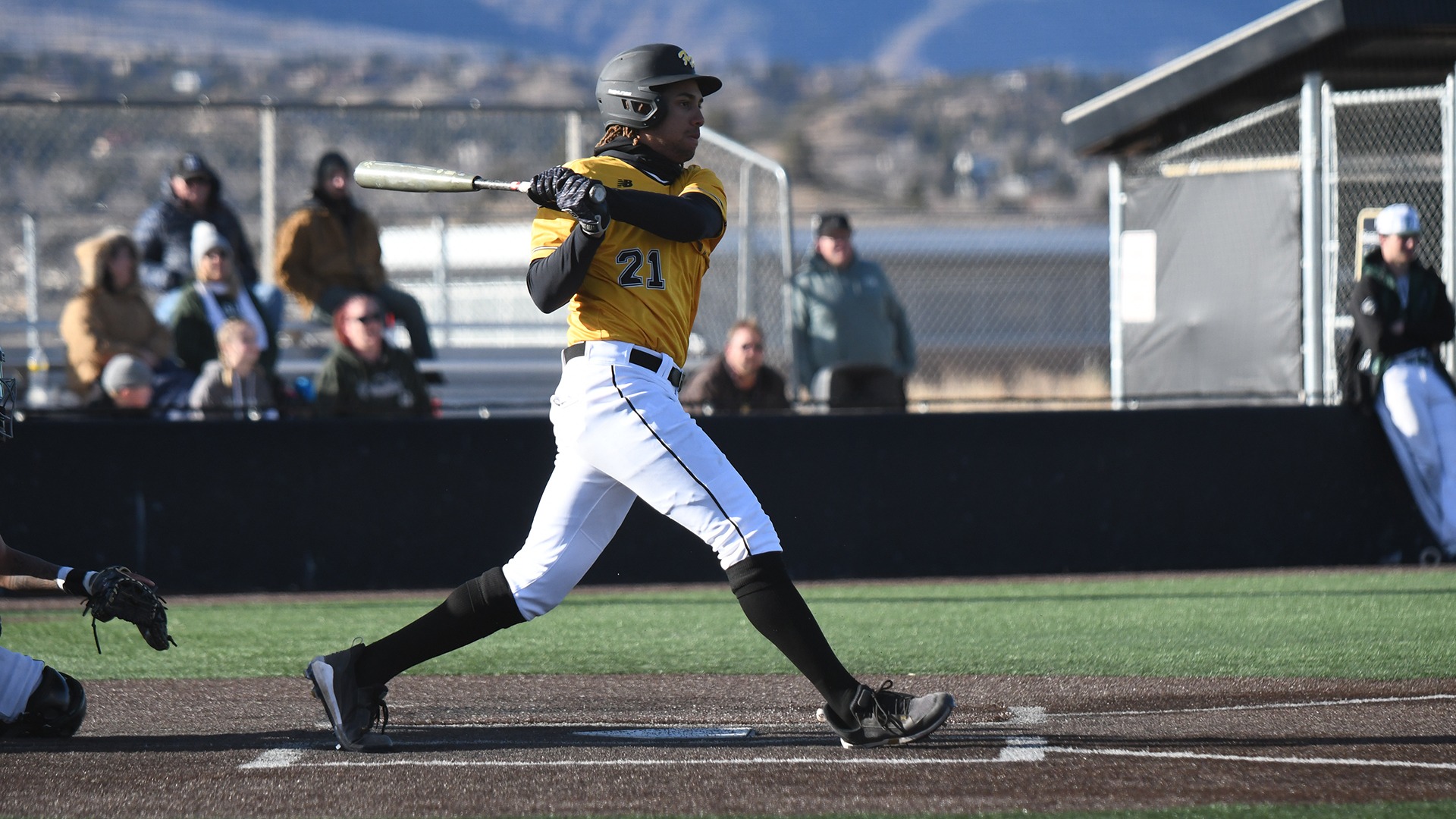 Zach Davis - Baseball - FHSU Athletics