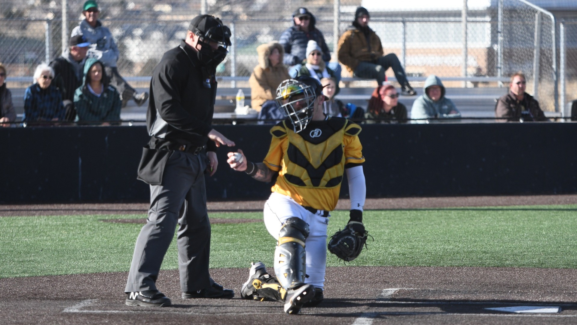 Mikey Felton - Baseball - FHSU Athletics