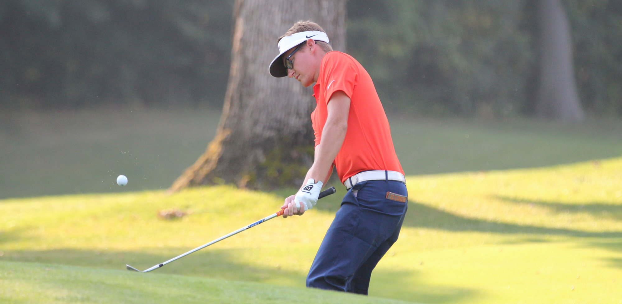 Dylan Meyer - 2017-18 - Men's Golf - University of Illinois Athletics