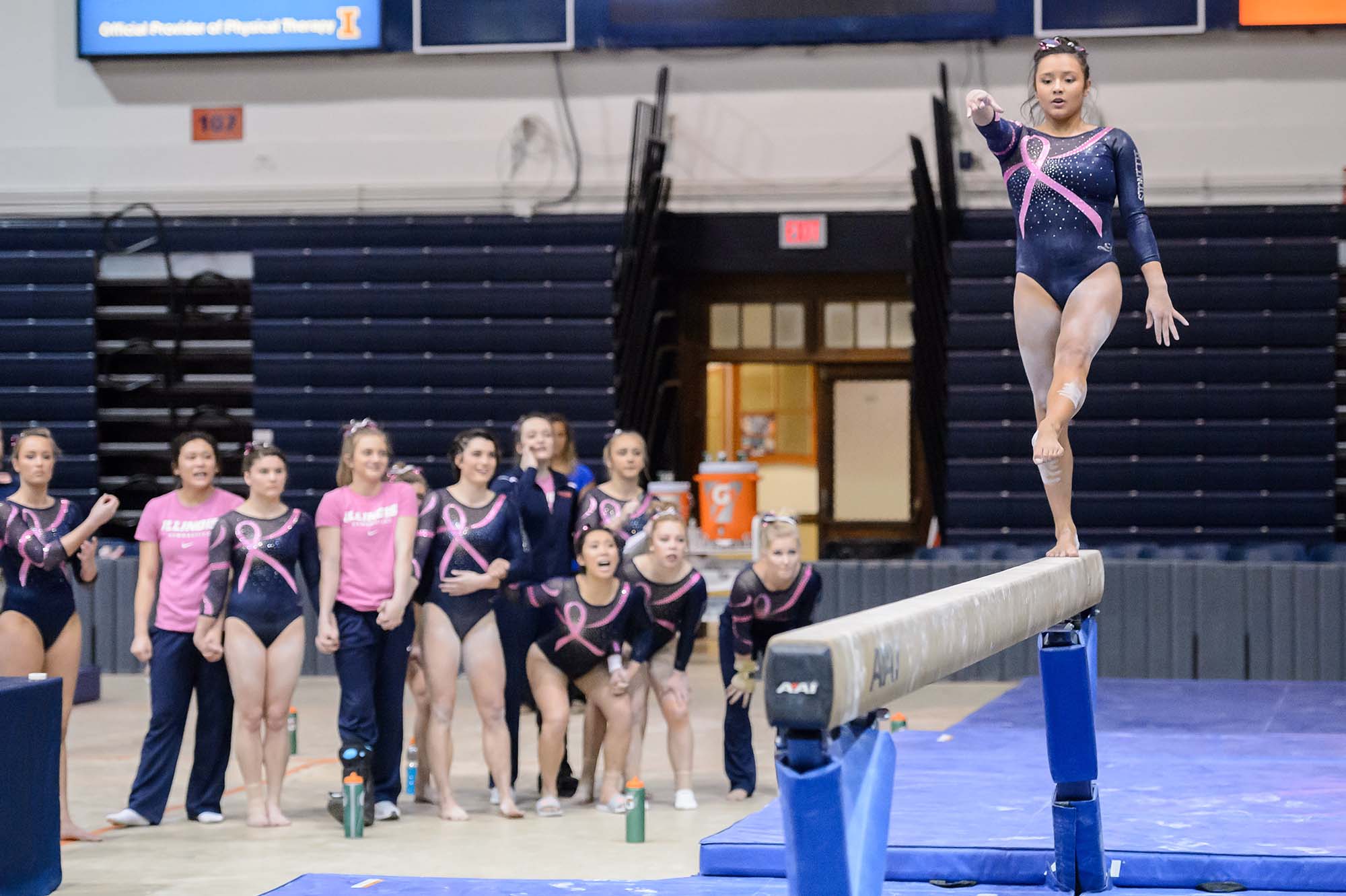 Lizzy LeDuc - 2017 - Women's Gymnastics - University of Illinois Athletics