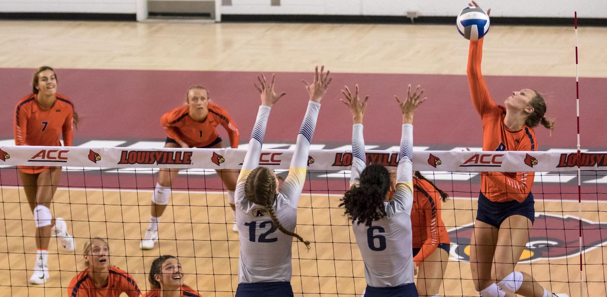 Beth Prince - 2019 - Volleyball - University of Illinois Athletics