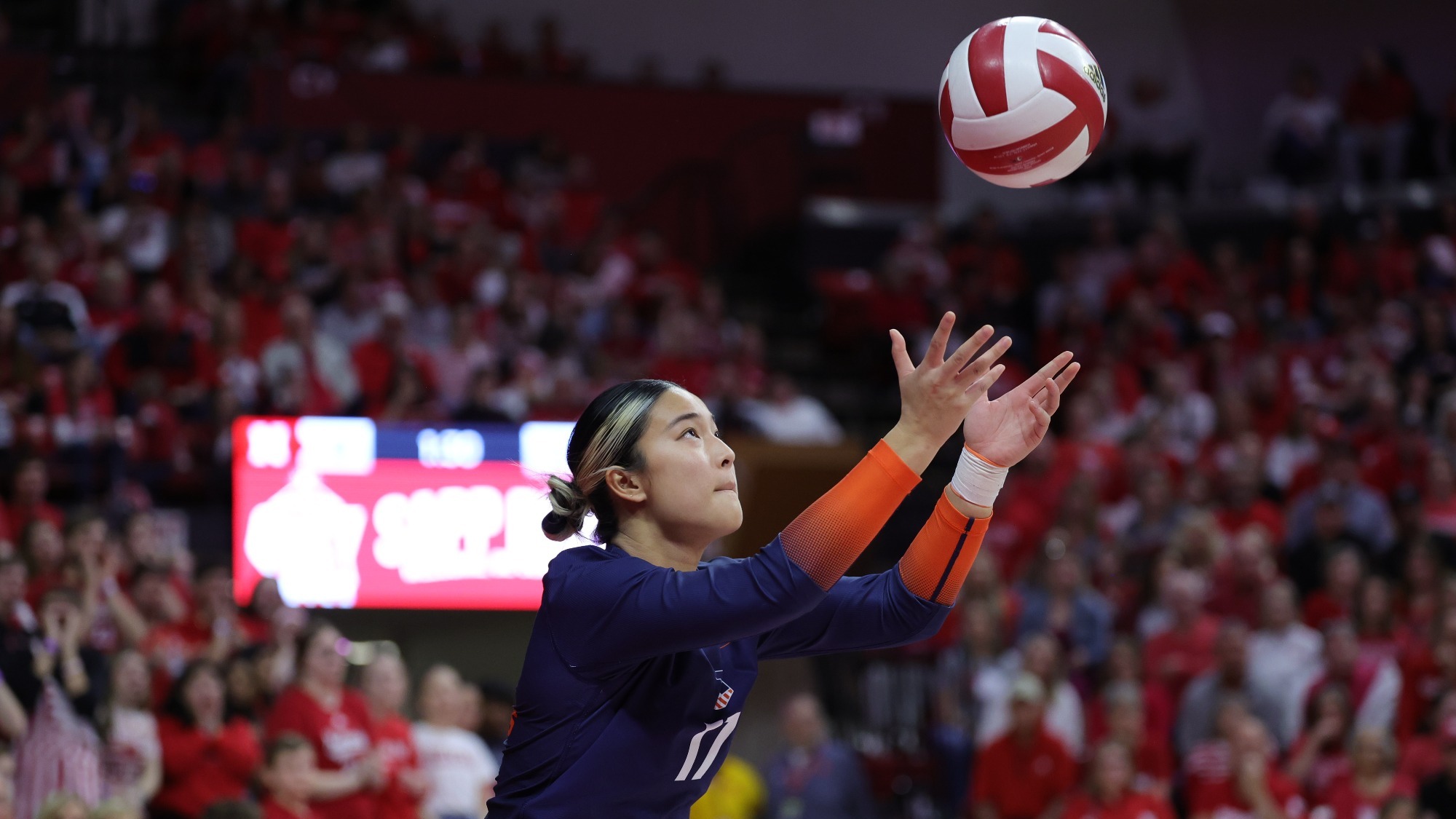 Vanessa Pan - 2023 - Volleyball - University of Illinois Athletics