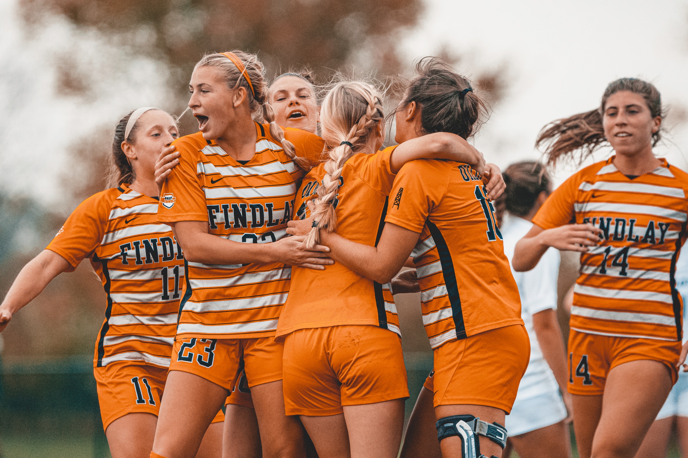 Oilers Take Down Dragons 3-0 - University of Findlay