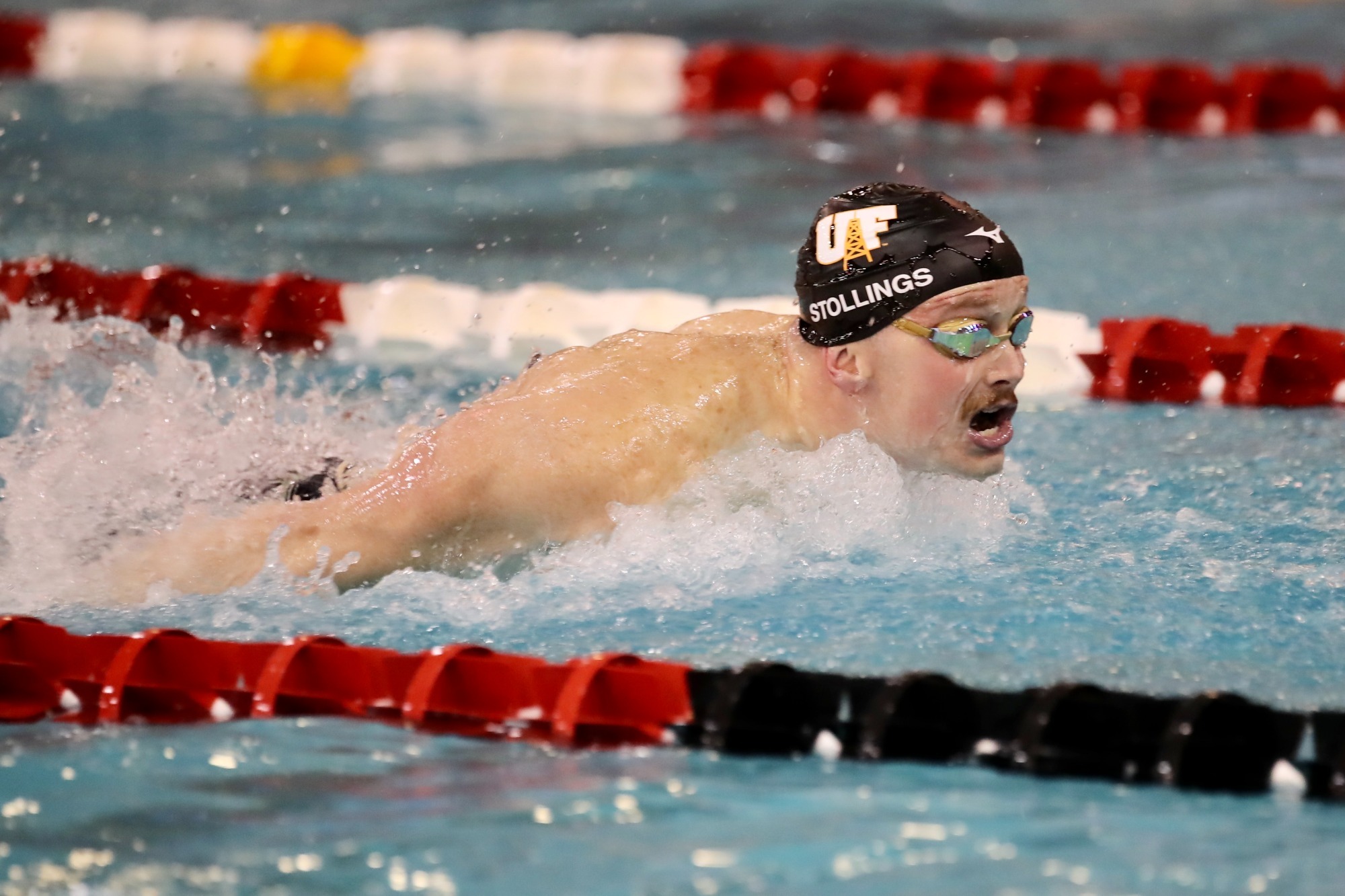 Tim Stollings - 2023-24 - Swimming and Diving - University of Findlay