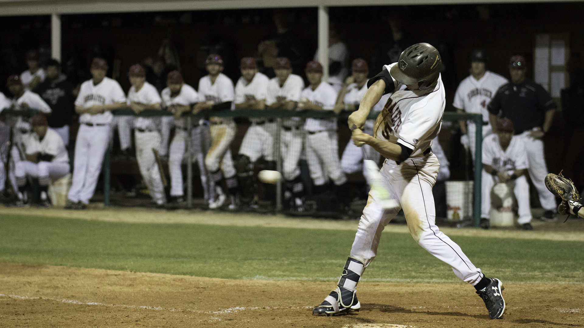 Reid Neal - Baseball - Florida Tech Panthers