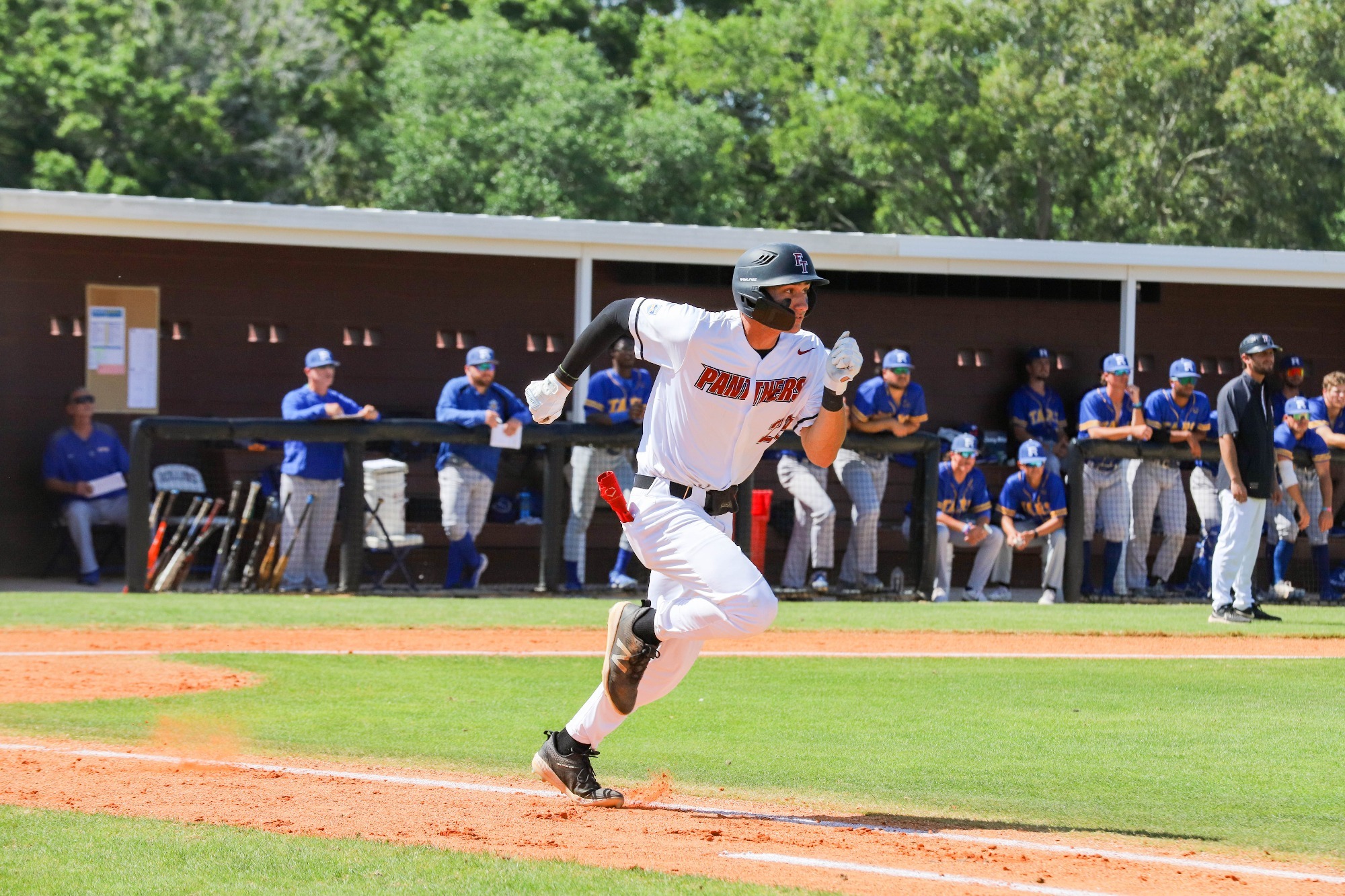 Sam Schner - Baseball - Florida Tech Panthers