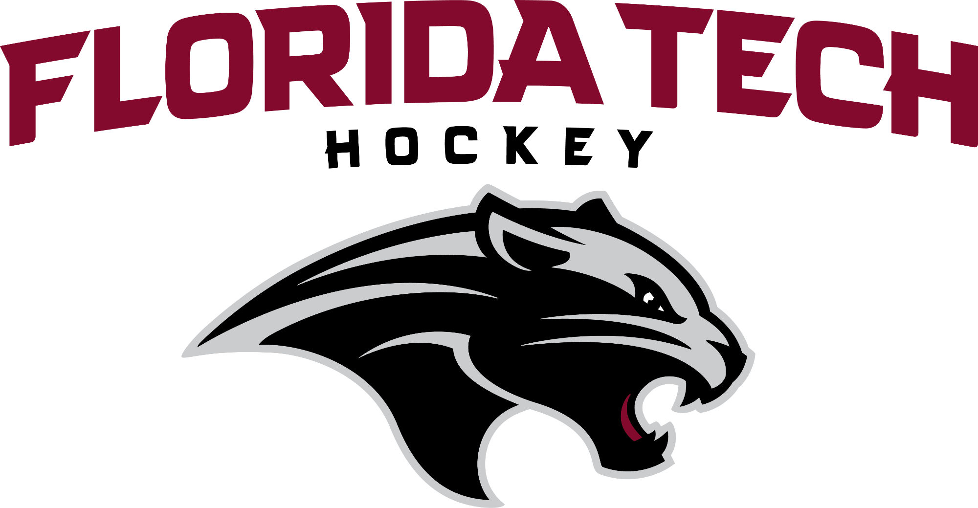 Florida Tech Unveils New Logo - Florida Tech Panthers
