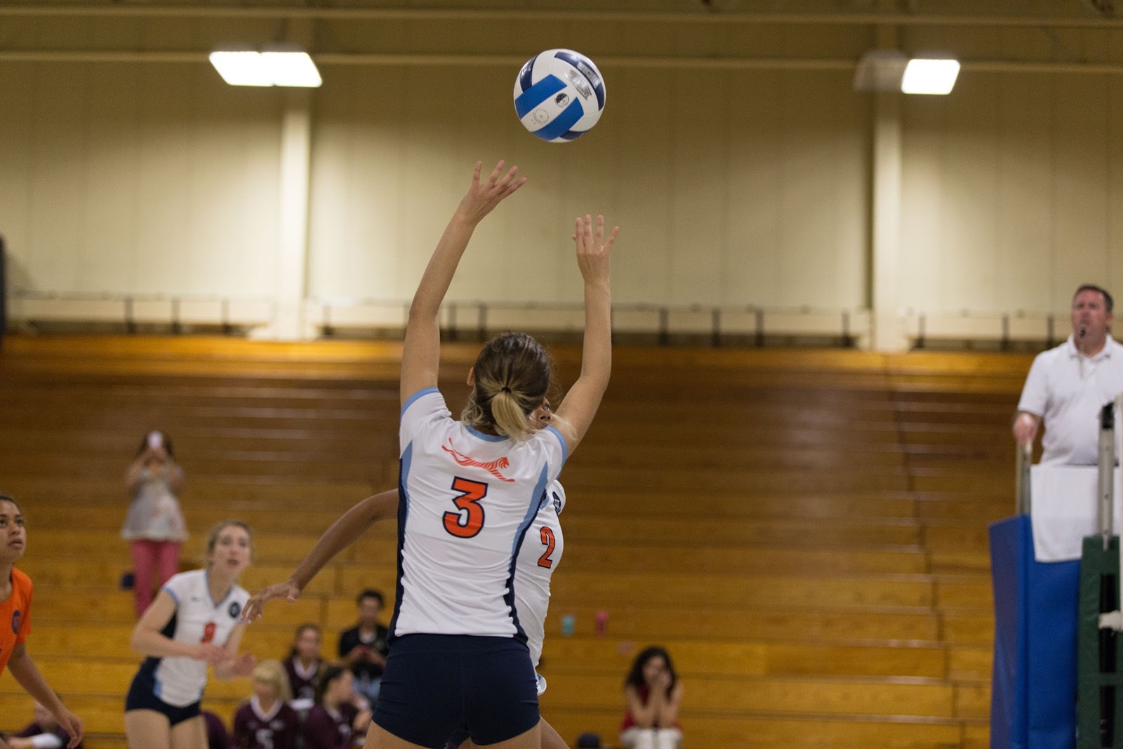 Cassandra Burdick - 2016 - Women's Volleyball - Fashion Institute of ...