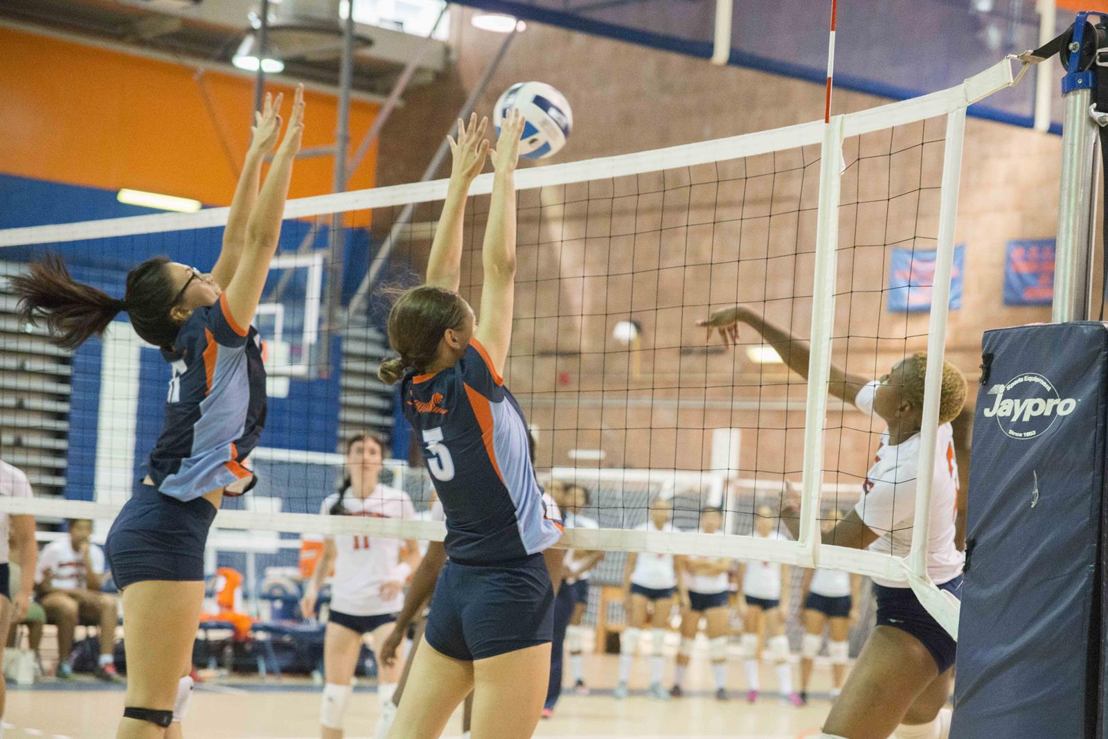 Cassandra Burdick - 2016 - Women's Volleyball - Fashion Institute of ...