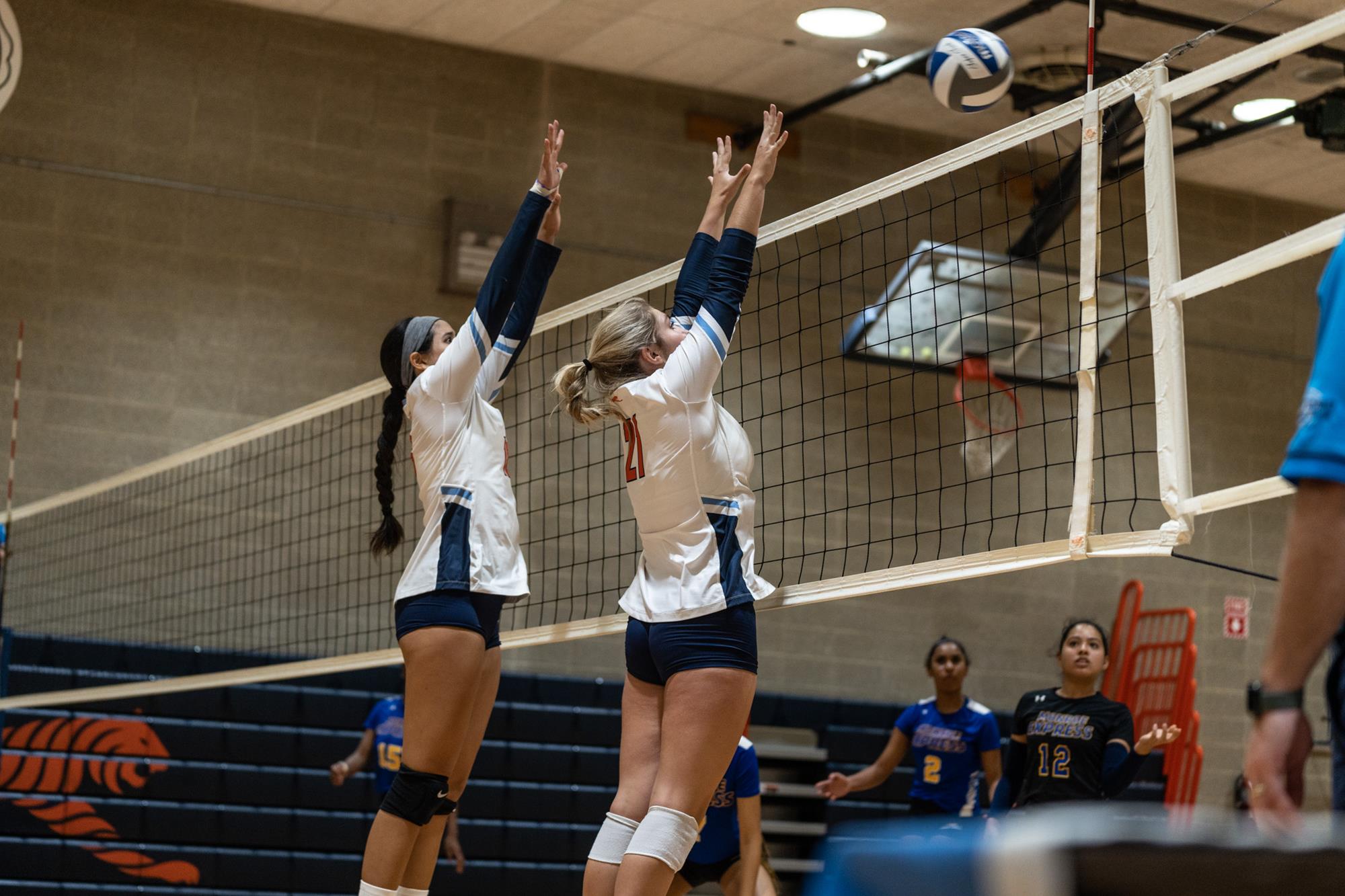 Anna-Katherine Harman - 2022 - Women's Volleyball - Fashion Institute ...